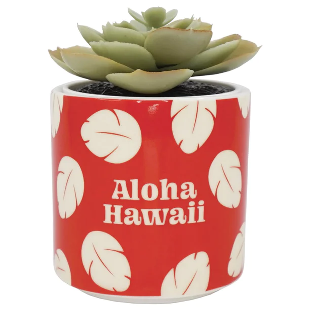 Lilo and Stitch - 6.5cm Disney Plant Pot & Plant | Happy Piranha